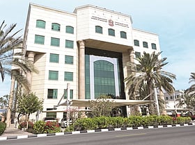 UAE sets new standards for exams tailored to students of determination