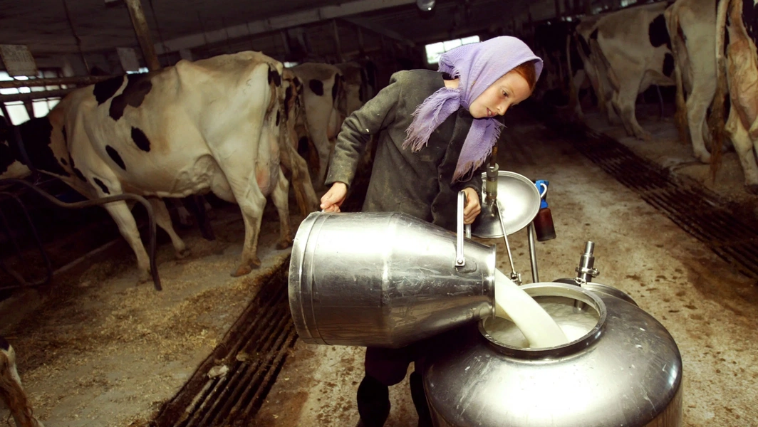 9 traditional Amish occupations and crafts