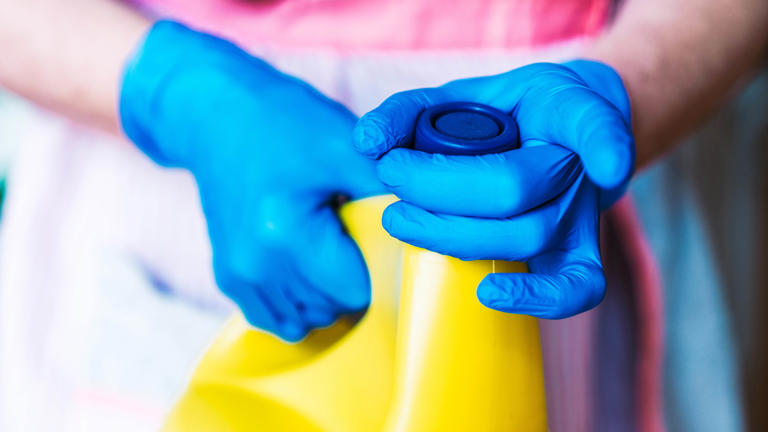 The hidden part of your kitchen harbouring bacteria — and how to clean ...