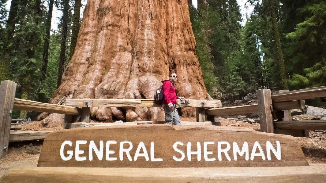 15 giant wonders that dwarf people