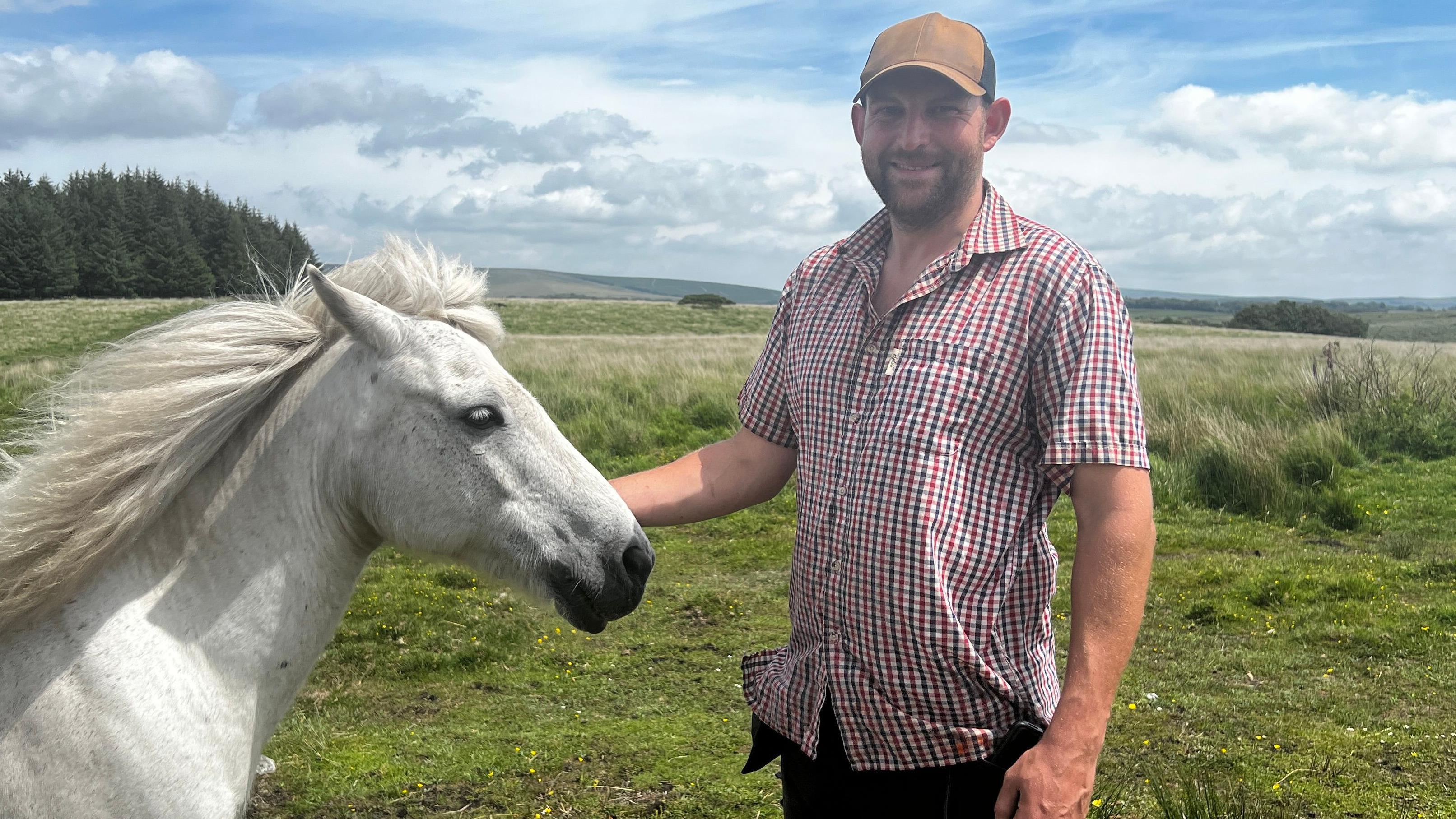 Are Dartmoor's beloved hill ponies under threat?