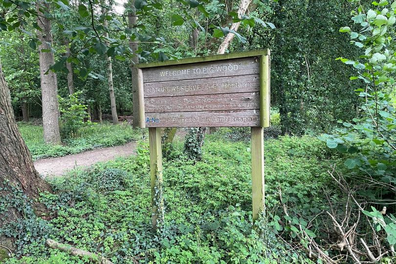The ancient woodland in Coventry protected by 15-metre rule and tales ...