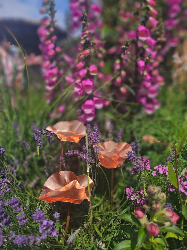 Forget bird baths, 'bee drinkers' might be the most charming garden ...