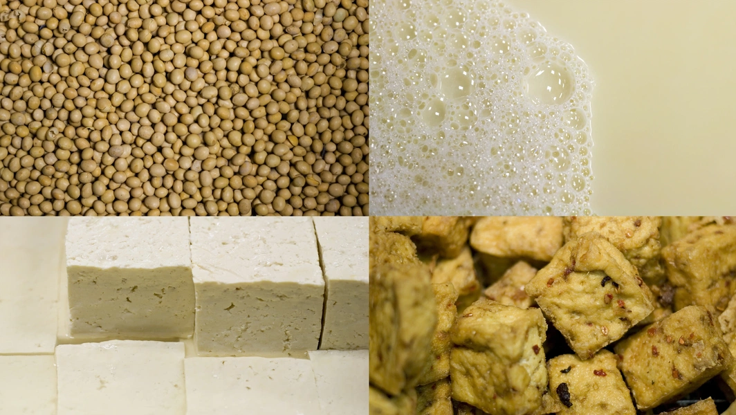 13 protein-rich foods for diverse diets