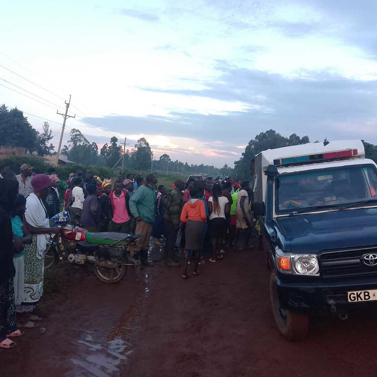Susan Wanjiku murder: Detectives hunt employer of Kasarani nanny killed ...