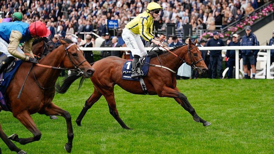South weekly quiz: Which actor went to the races with the king?