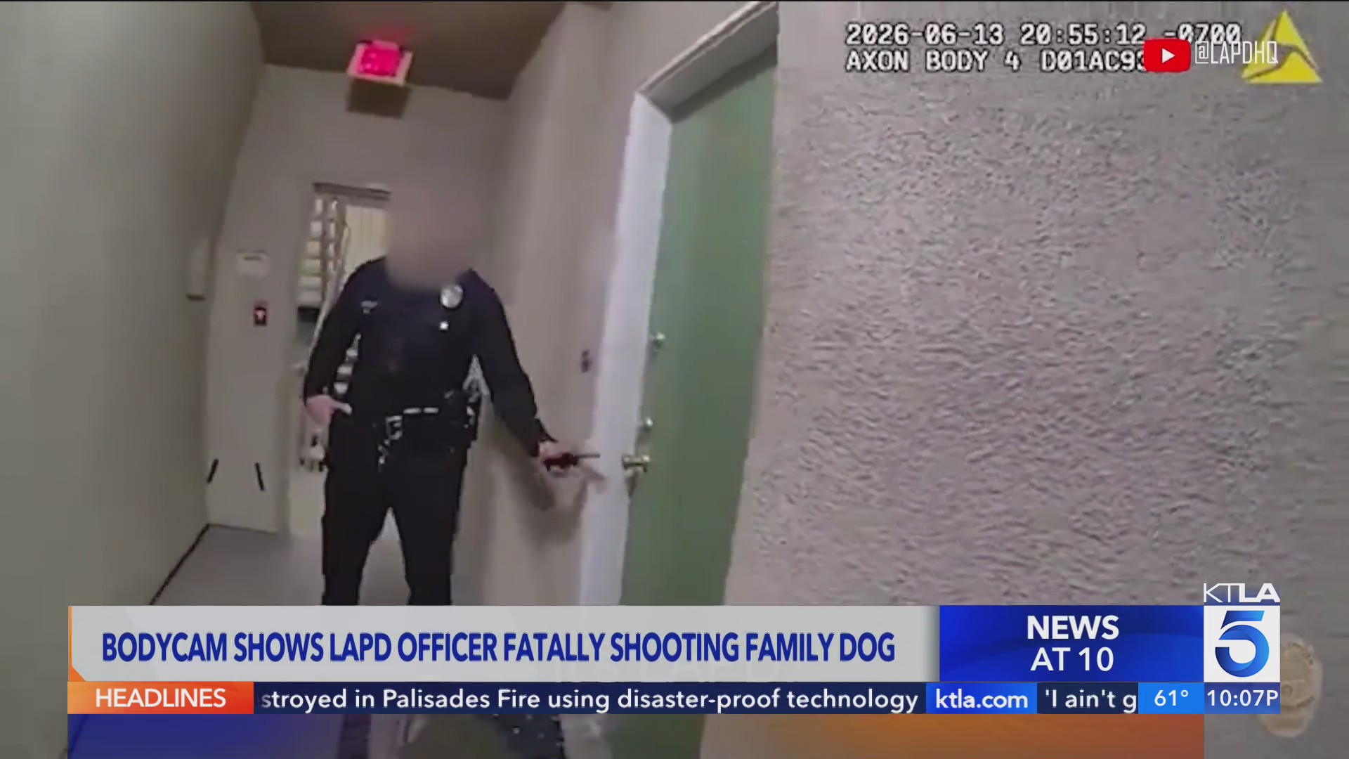 Bodycam video shows LAPD officer fatally shooting dog in Canoga Park