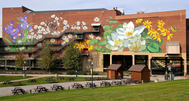 Is Akron bouncing back? Affordability, amenities lure new residents