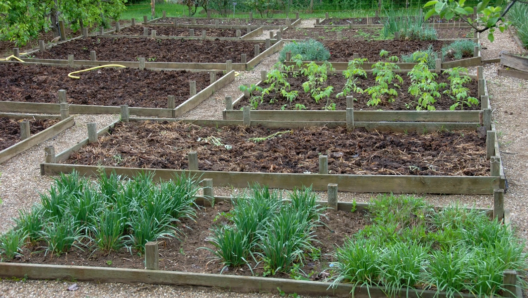 14 creative garden edging ideas for every style