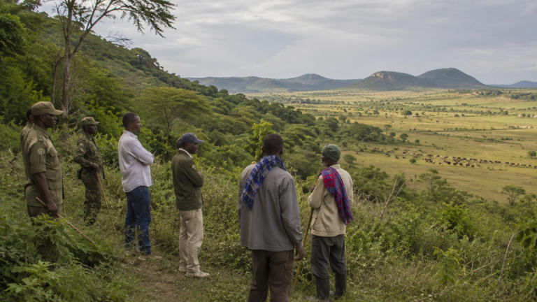 Ethiopia’s protected areas reveal a difficult trade-off between nature ...