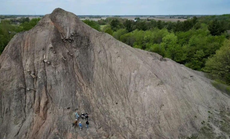 Scientists discover tiny fossils near Chicago that don’t match what ...