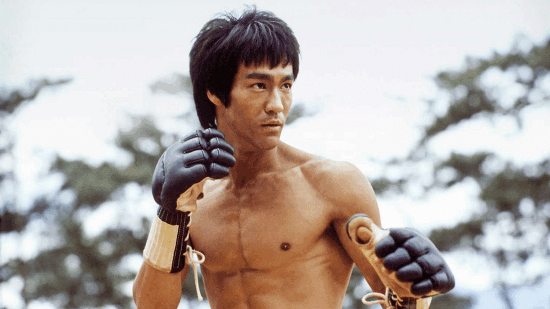 Bruce Lee's 5,000 punches a day: Fact or fitness legend?