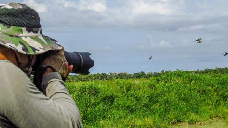 Birdwatcher becomes the first person to spot 10,000 bird species in the ...