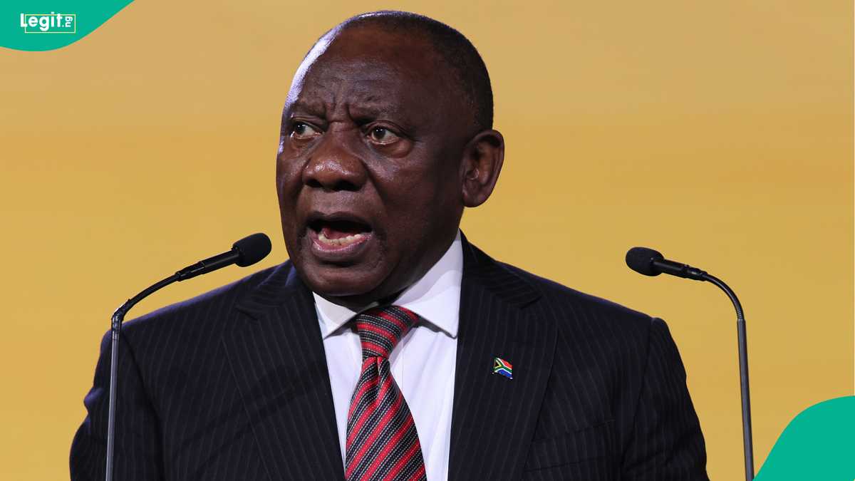 Ireland deports 42 South African nationals on grounds of criminality in ...