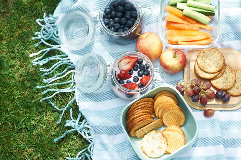 Here are six rules you must follow to avoid picnic health hazards in ...