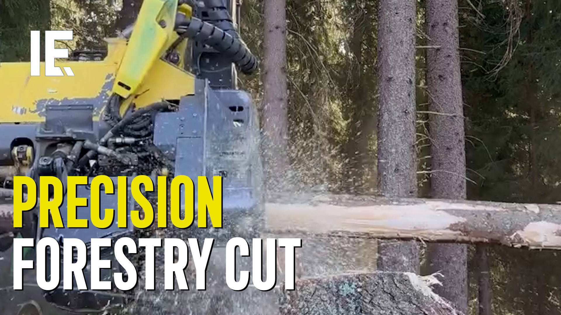 This logging machine fells and strips a tree in seconds