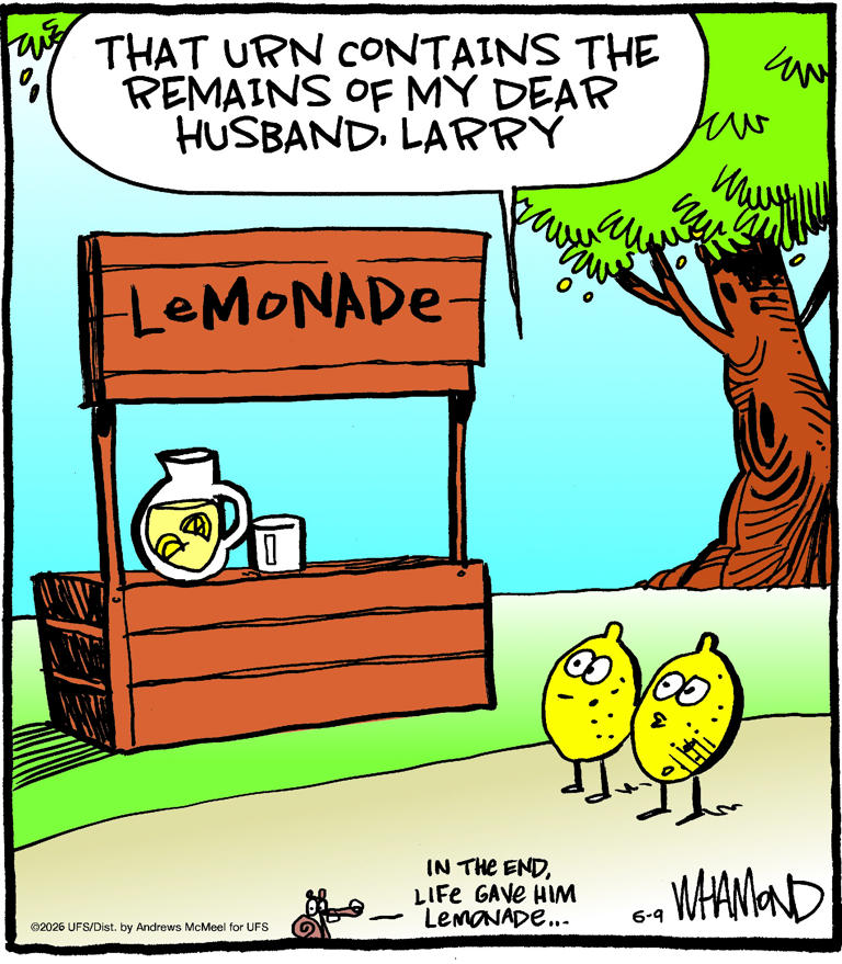 Reality check by Dave Whamond