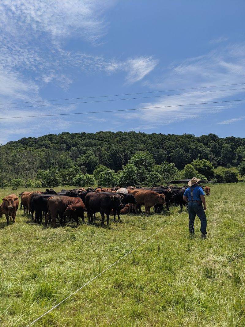 The world-renowned Virginia homestead where you can buy fresh ...