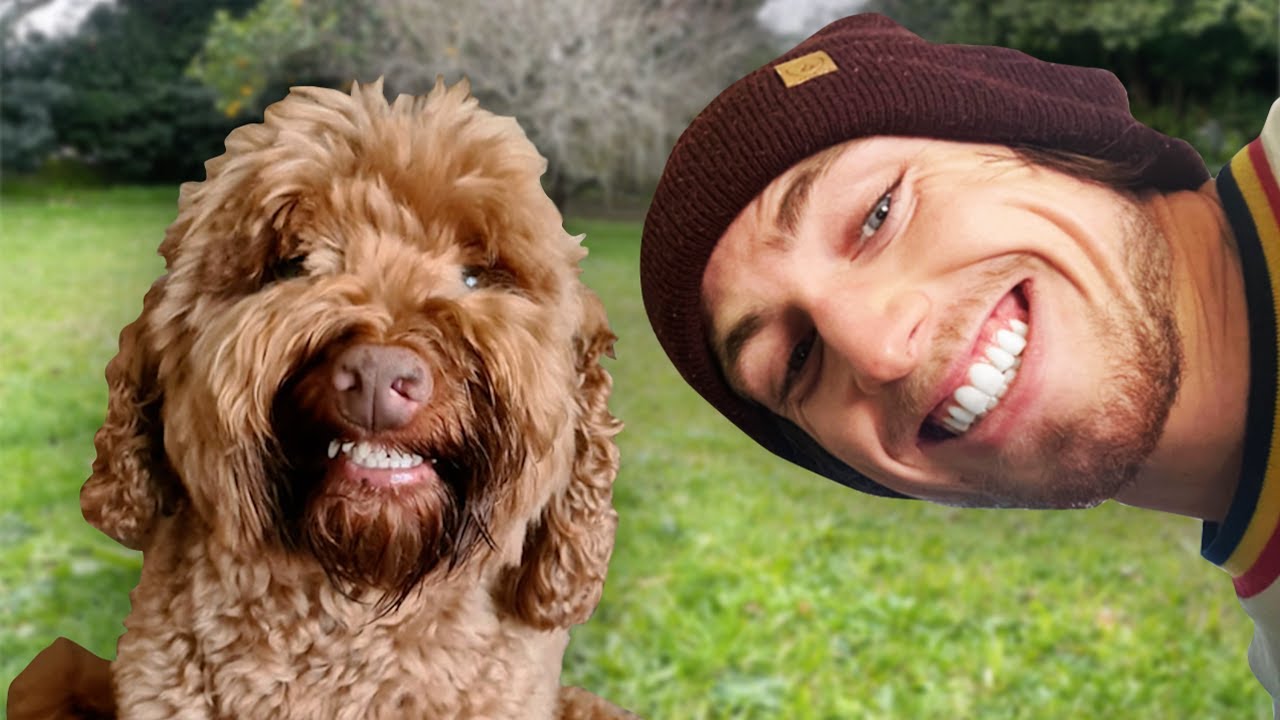 Creator teaches his dog to smile every time a camera appears
