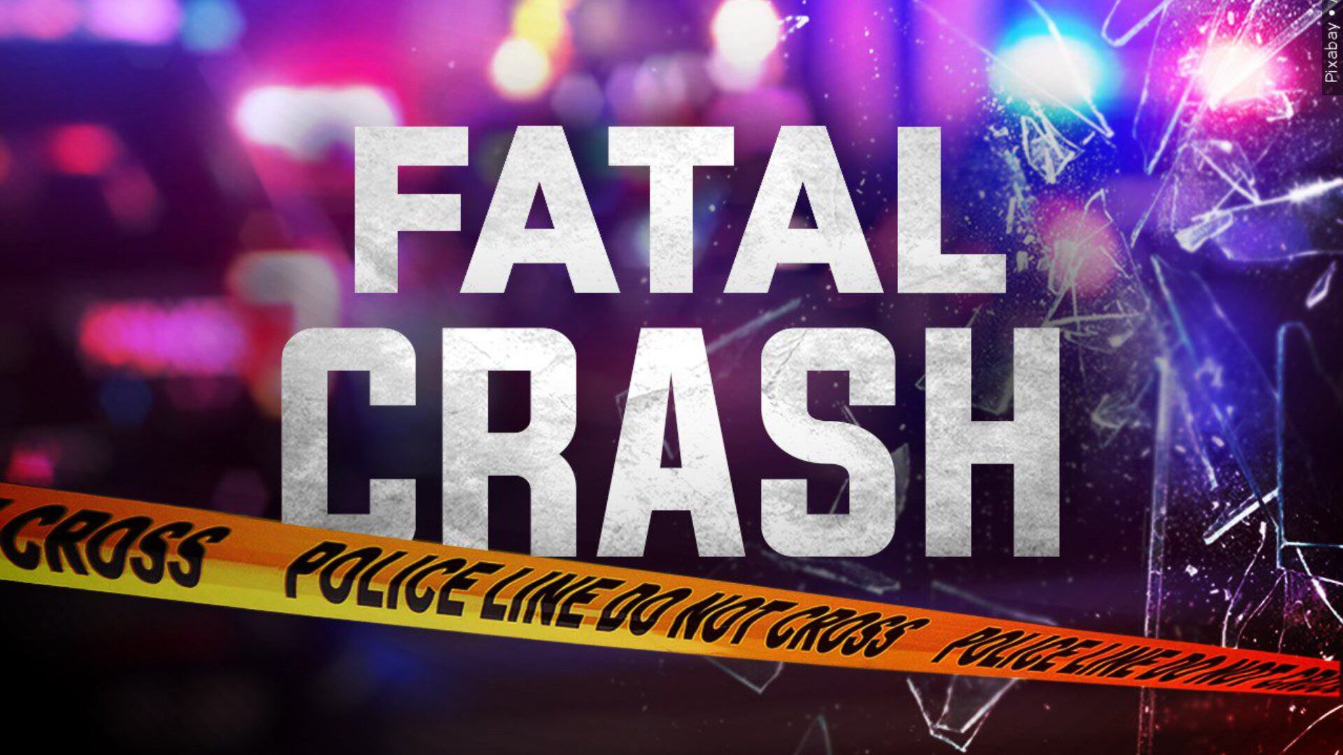Two dead & dog in care of animal control after Henry County head-on ...