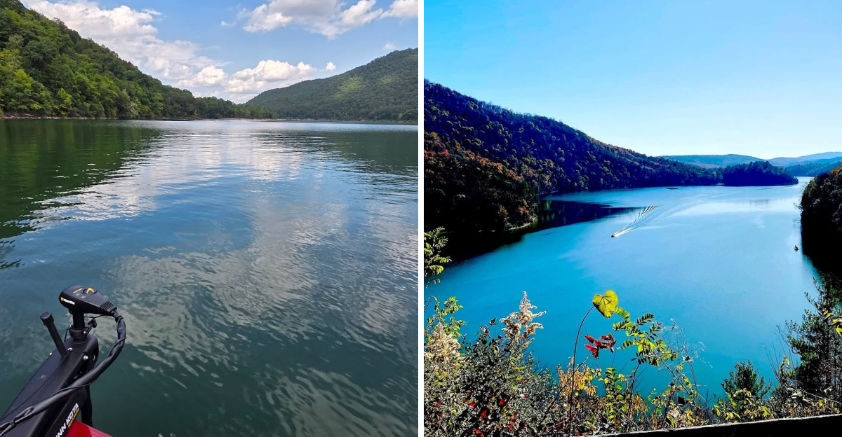 This stream-fed Virginia reservoir has water so clear you can spot the ...