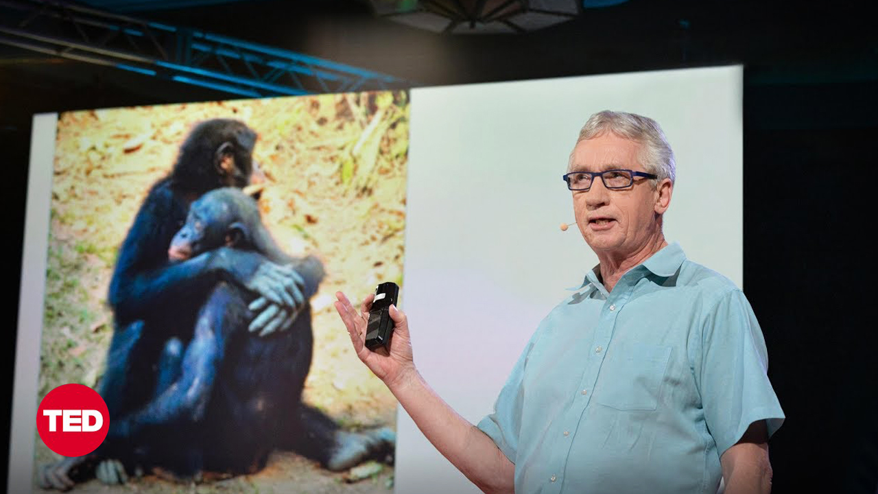 Scientists found what makes an alpha male - and it's not strength