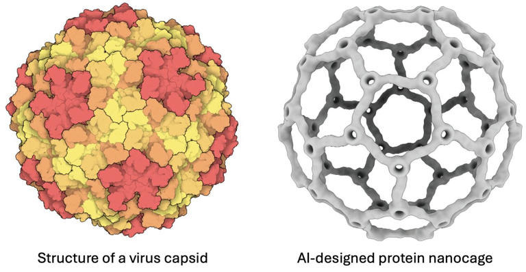 AI-designed protein unlocks virus-like shells that could reshape ...