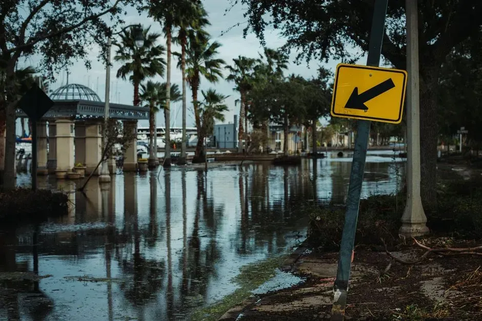 9 US cities scientists say are the most vulnerable to natural disasters ...