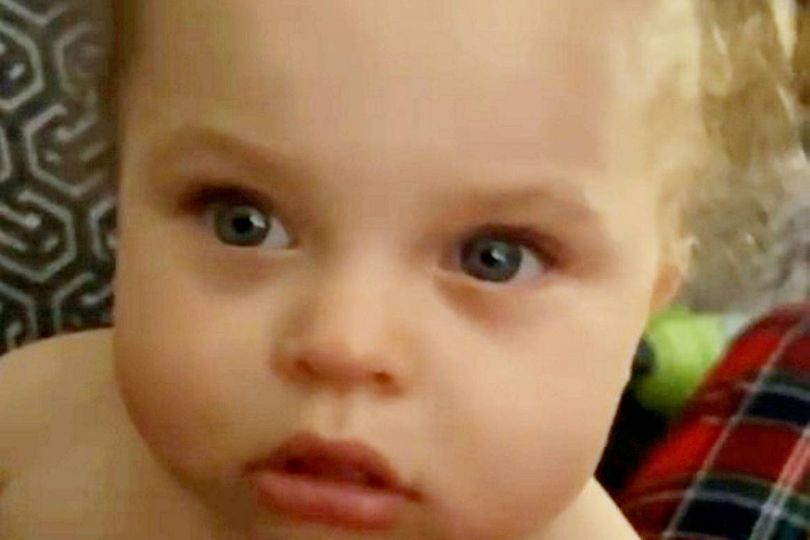 Preston Davey murder: Killers 'utterly naive' to horrors that await ...