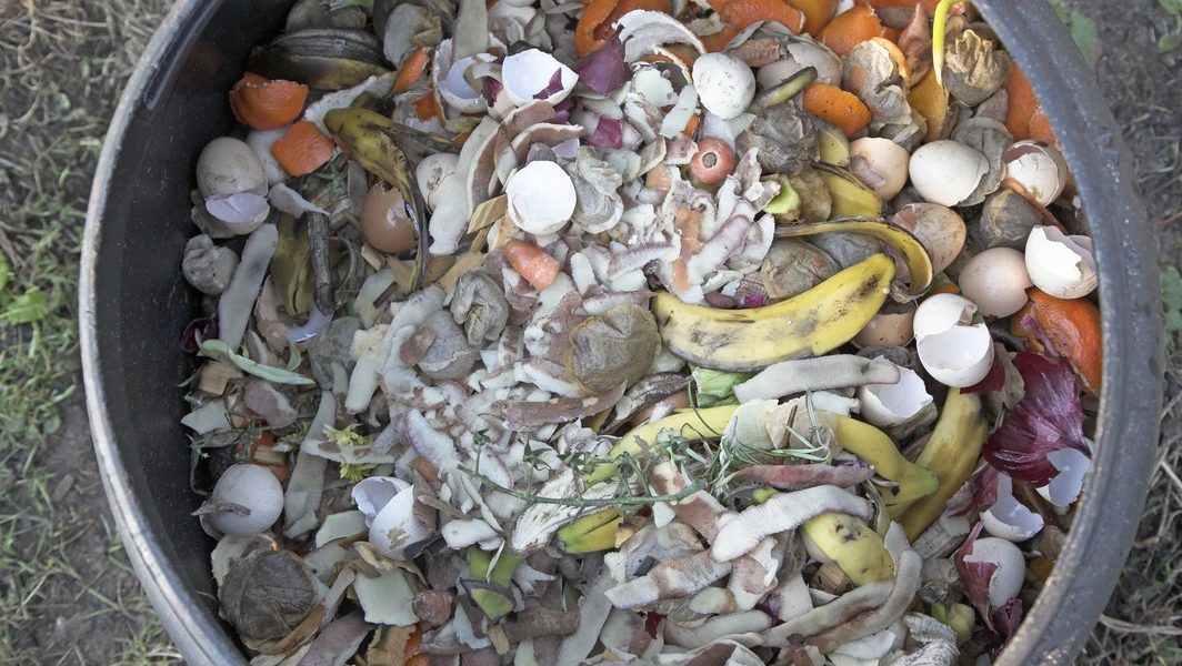 Turn kitchen scraps into summer pest control magic