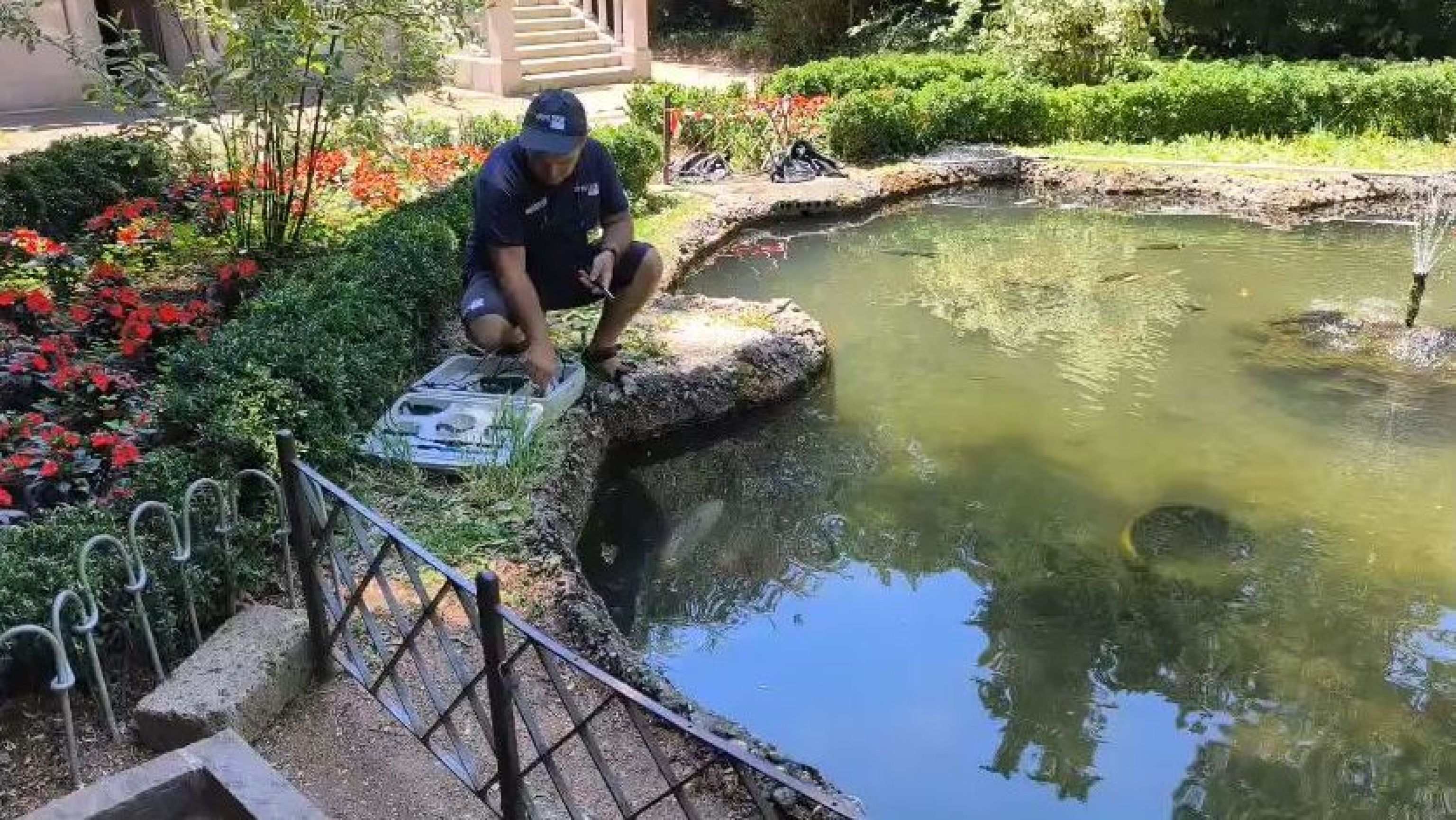 Caldo a Trieste, moria di pesci nel laghetto del parco di Villa Revoltella