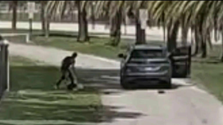 Surveillance video shows woman being assaulted by suspect in Miami Springs