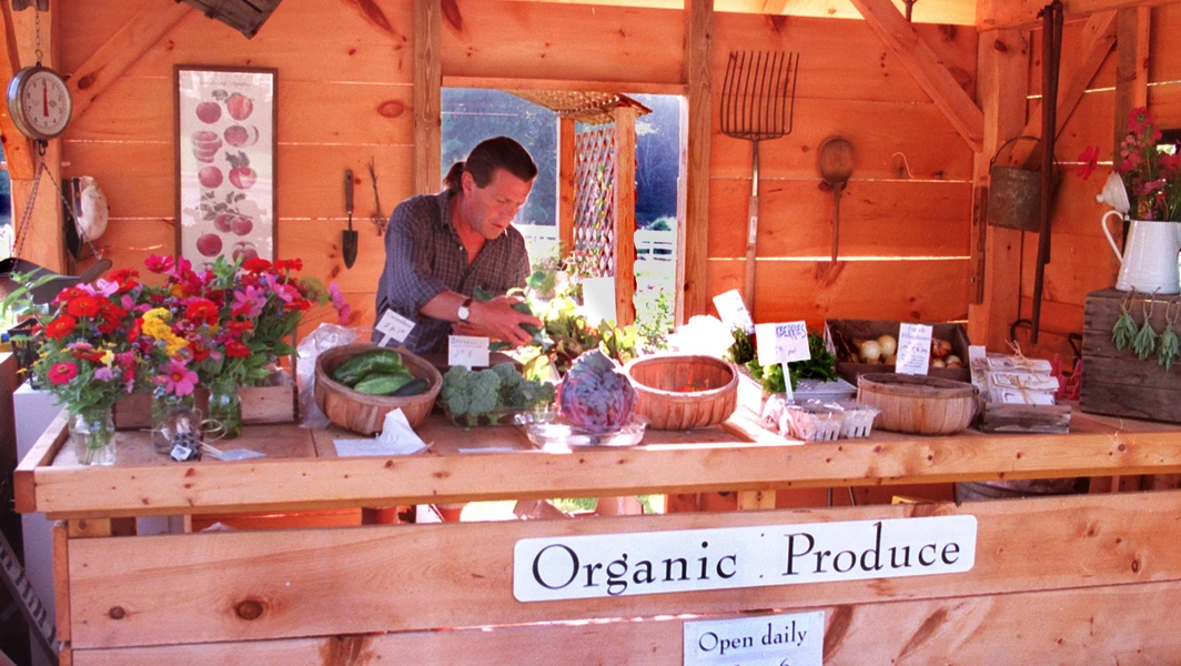 Finding and supporting local small businesses