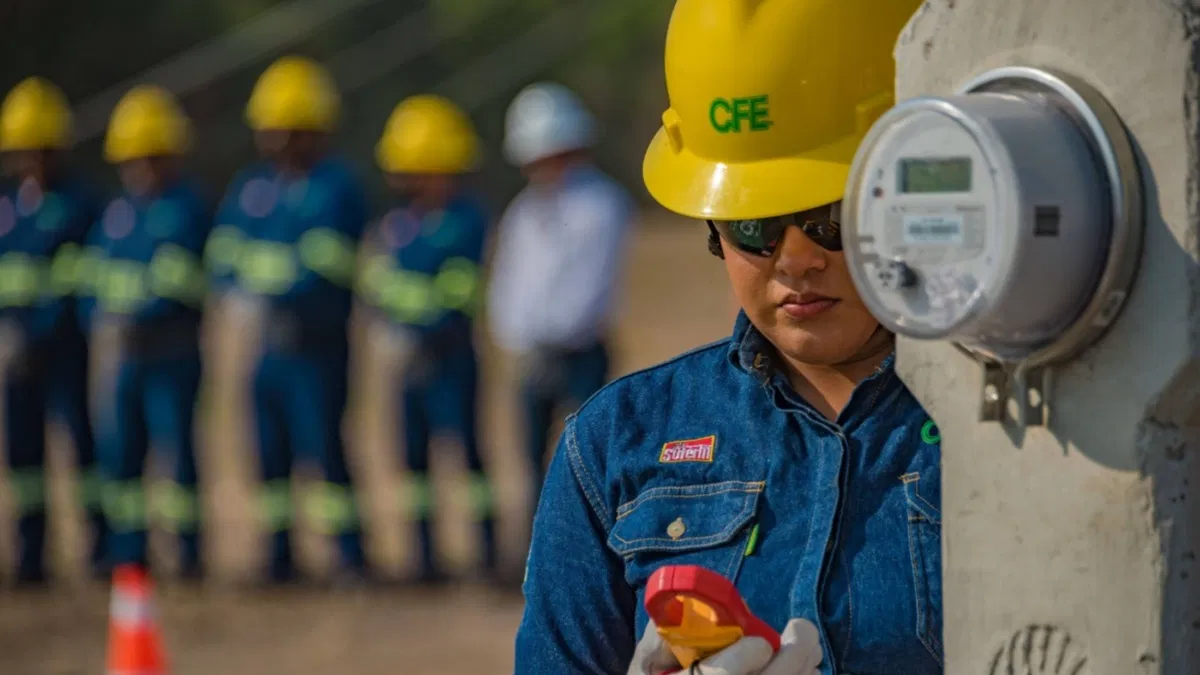 CFE vs diablitos: la terrible consecuencia de tener uno más allá de las ...