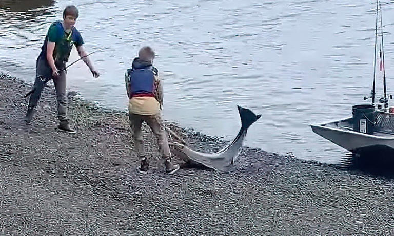 Alaska boys shown landing, subduing giant halibut on their own