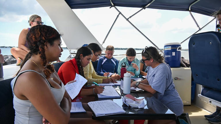 At marine science camp, Pinellas teens get firsthand look at Gulf life