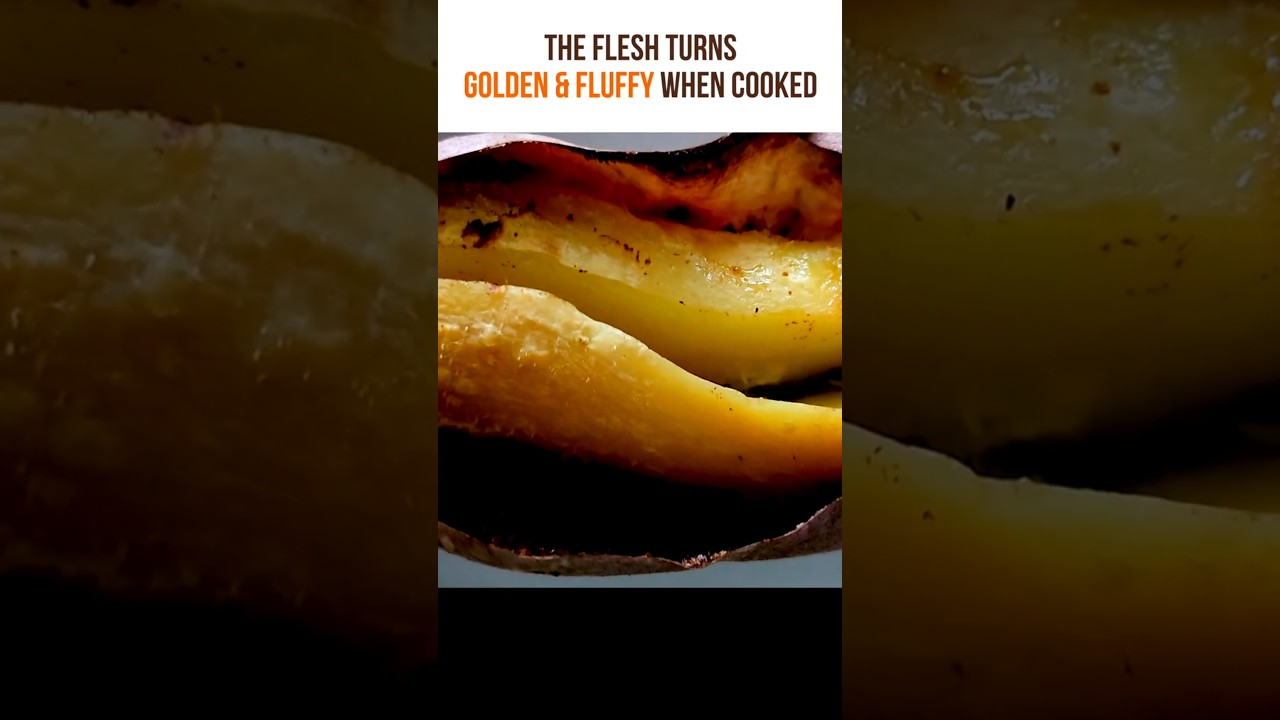 Why you need to try Asian sweet potato: the best for snacking!