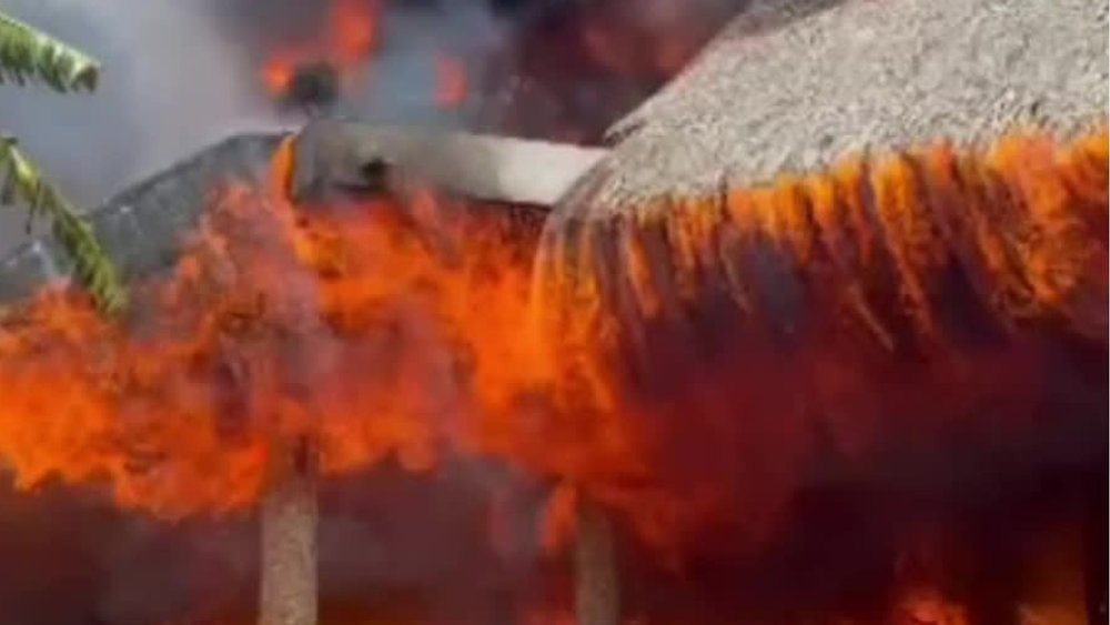Inferno under the palm trees: Major fire rages at luxury resort