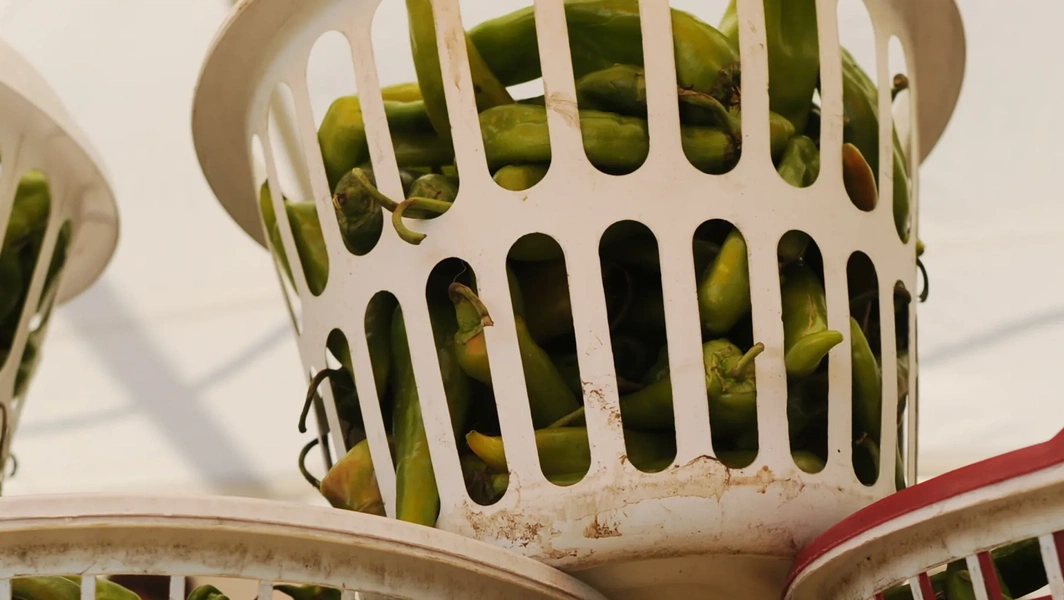 New Jersey spots serving unique green chiles