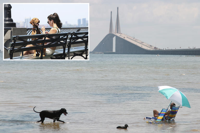 That’s ruff! How NYC ranks on nation-wide pet friendly scale: new survey