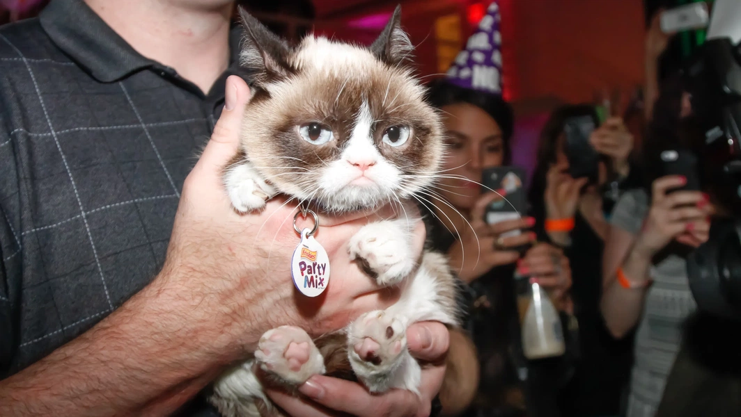 12 iconic cats from animation to internet fame