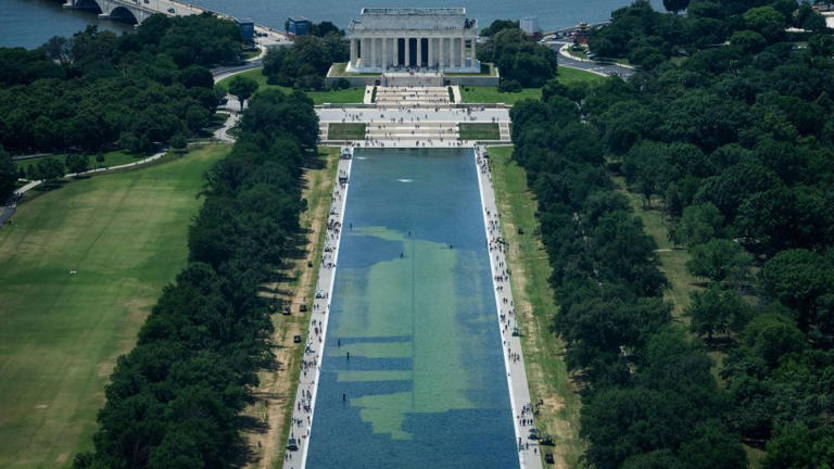 Fact check: Trump’s false and unproven claims about the Reflecting Pool