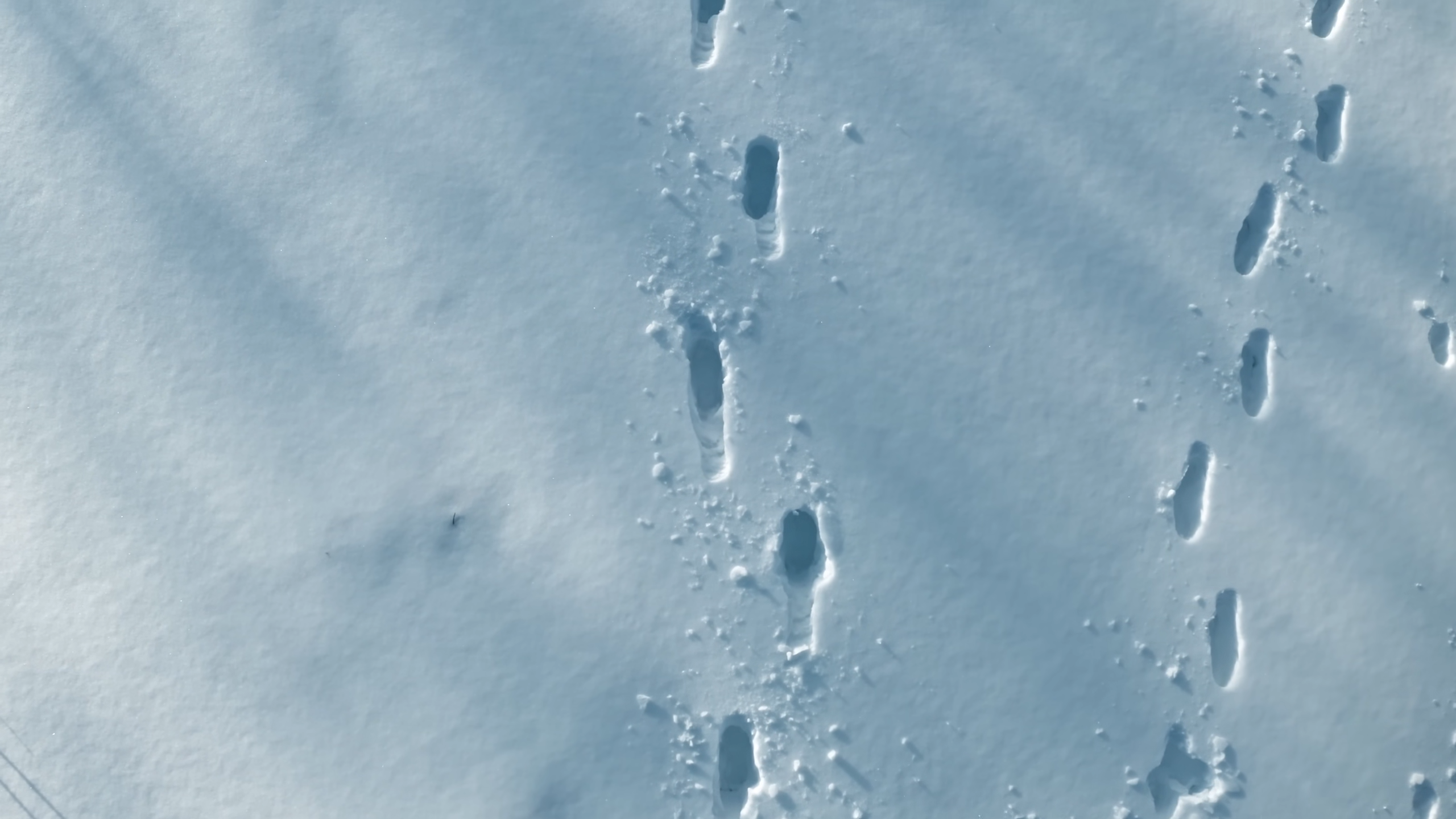 A 13-inch footprint was found near Everest - then DNA pointed to a ...