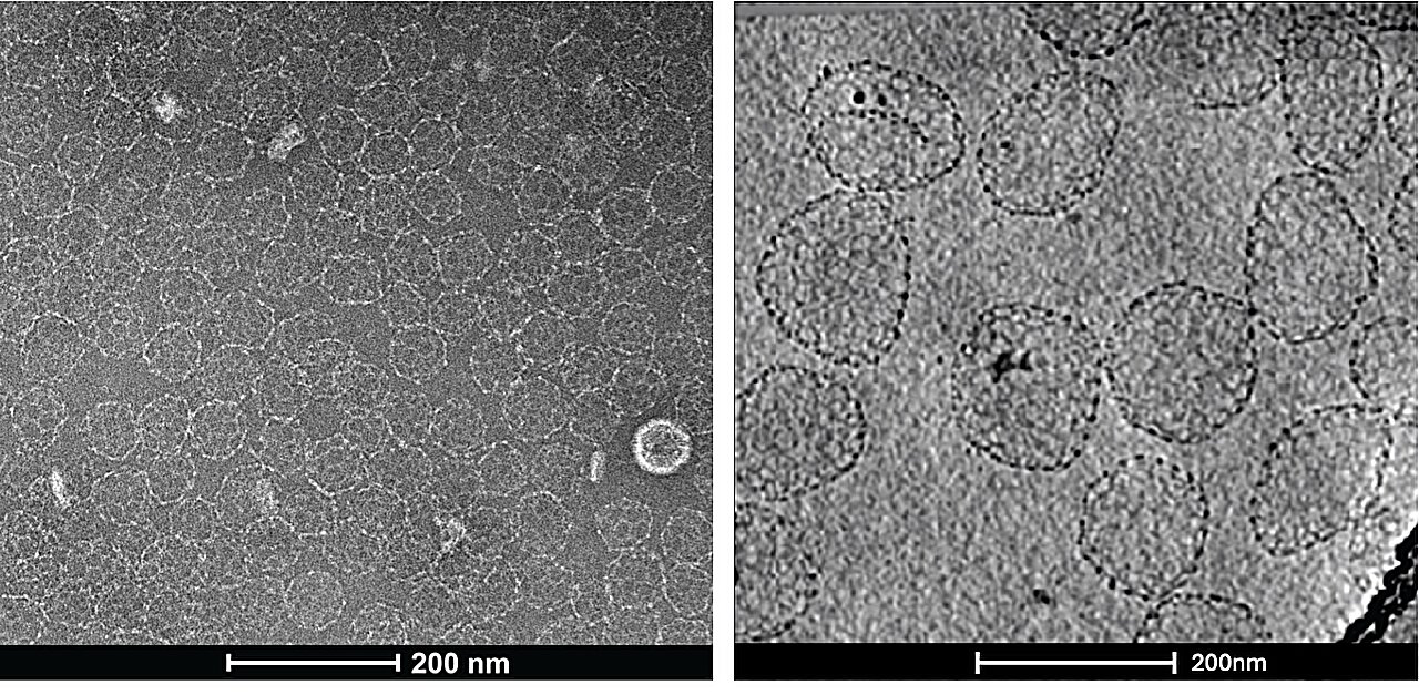 AI-designed protein unlocks virus-like shells that could reshape ...