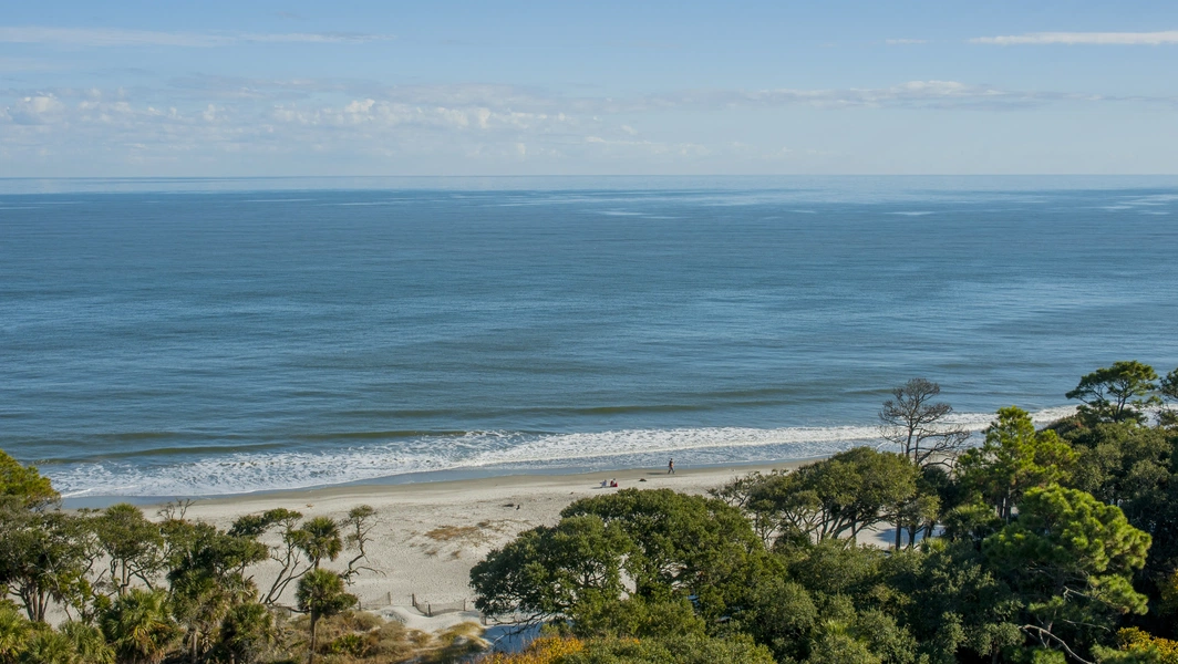 Exploring coastal South Carolina's natural and cultural treasures
