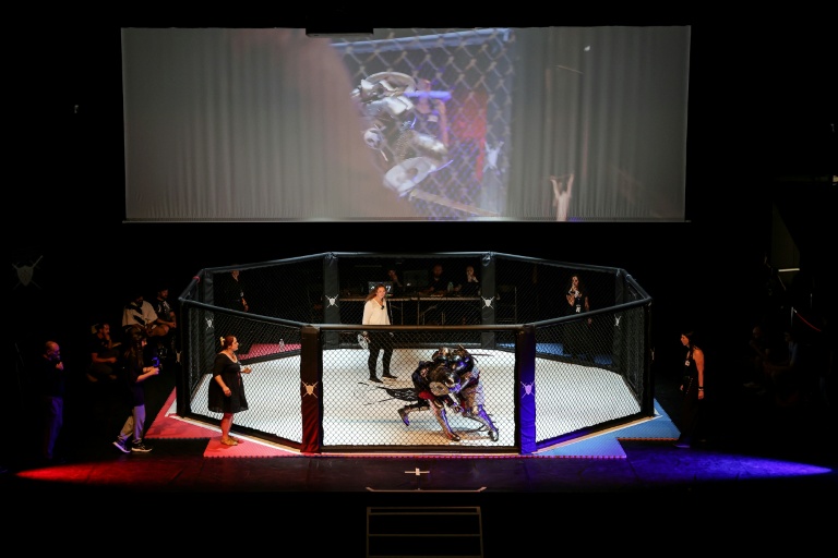 Heavy metal: French town hosts medieval combat cage fights