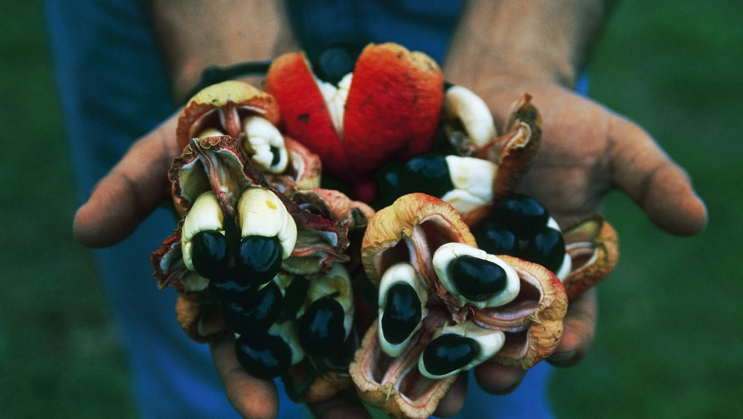 10 foods once feared or avoided