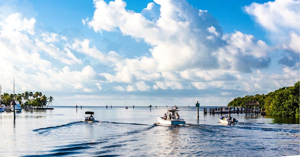 This hidden Florida island comes with raccoons and mangroves