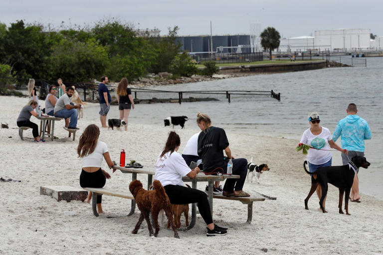 That’s ruff! How NYC ranks on nation-wide pet friendly scale: new survey