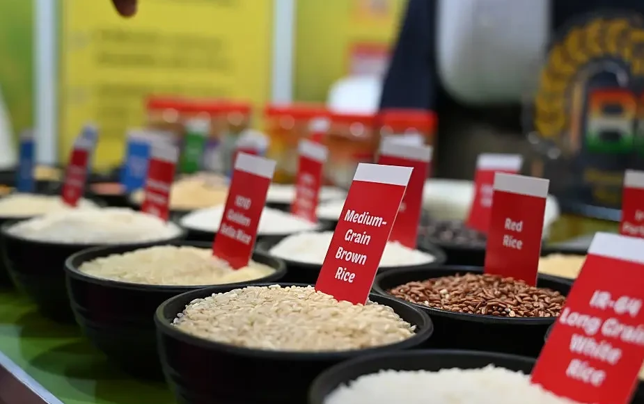 Master the art of cooking rice varieties
